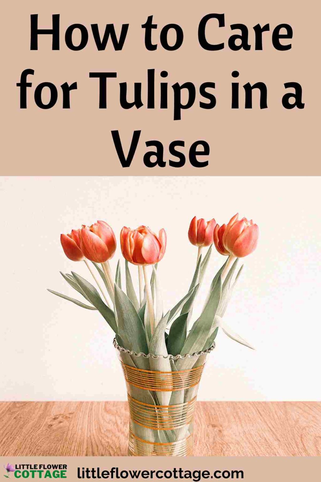 How to Care for Tulips in a Vase: Helpful Tips - Little Flower Cottage