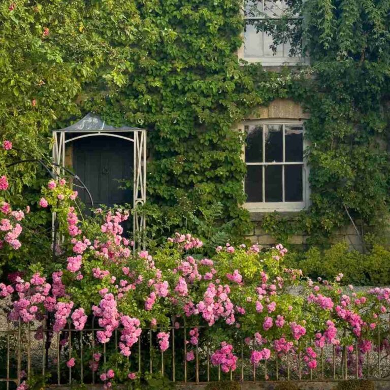 The Best Cottage Garden Flowers (and How to Grow Them) - Little Flower ...
